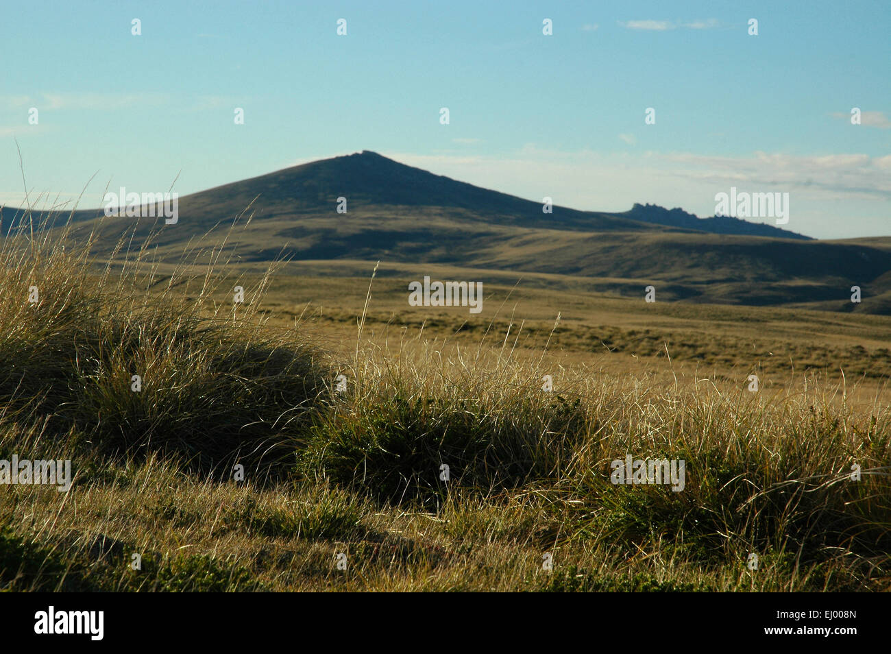 The Falklands, Falkland, South America, west falkland, horizon, skyline ...