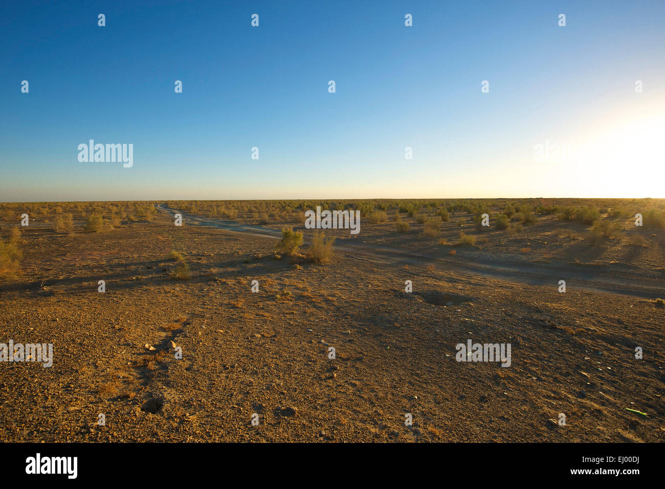 Asia, Uzbekistan, Central Asia, silk road, outside, day, Kysylkum ...