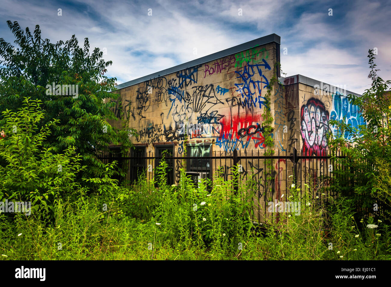Old building covered in graffiti, seen from the Reading Viaduct in ...