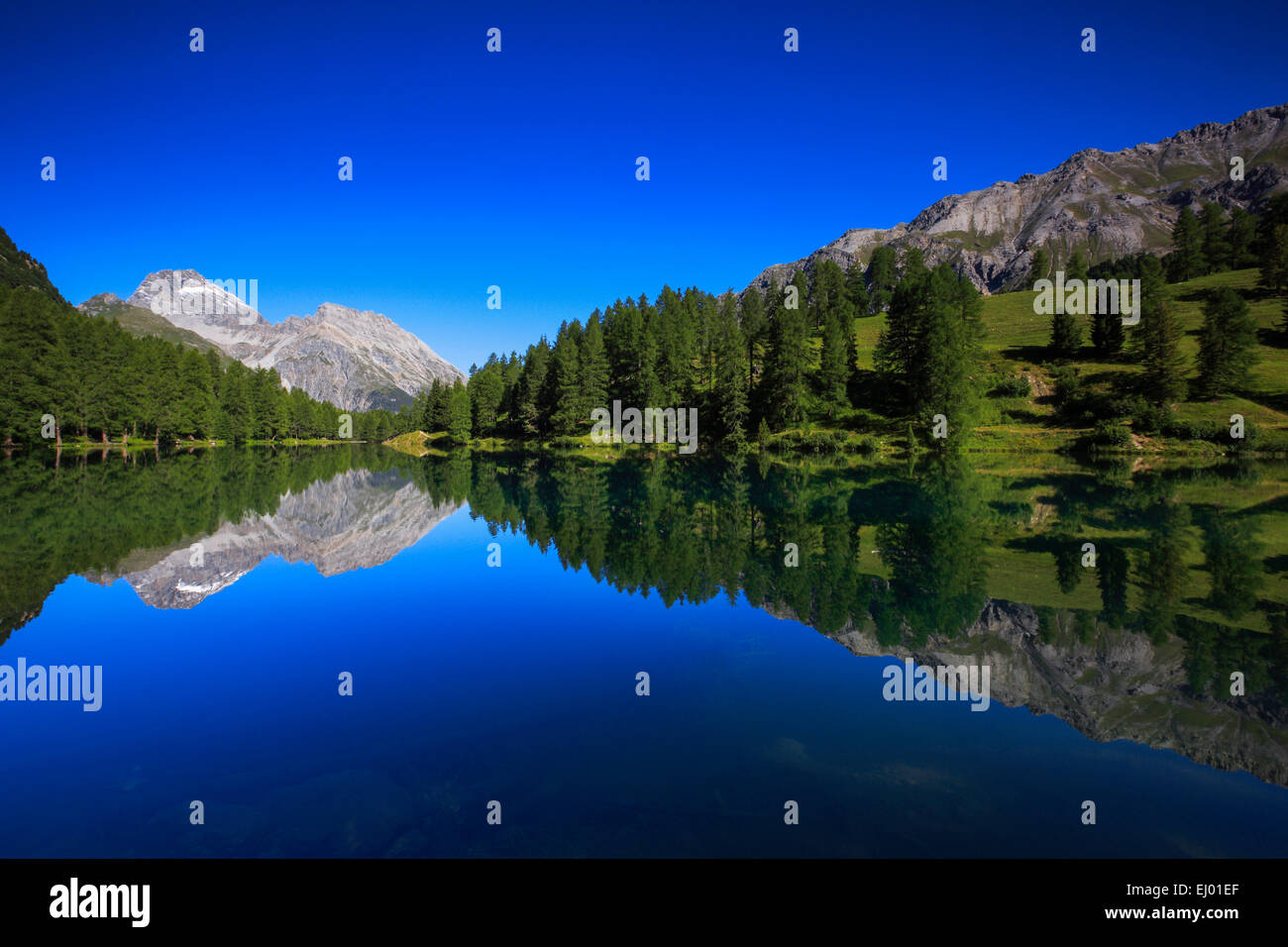 Albula pass hi-res stock photography and images - Alamy