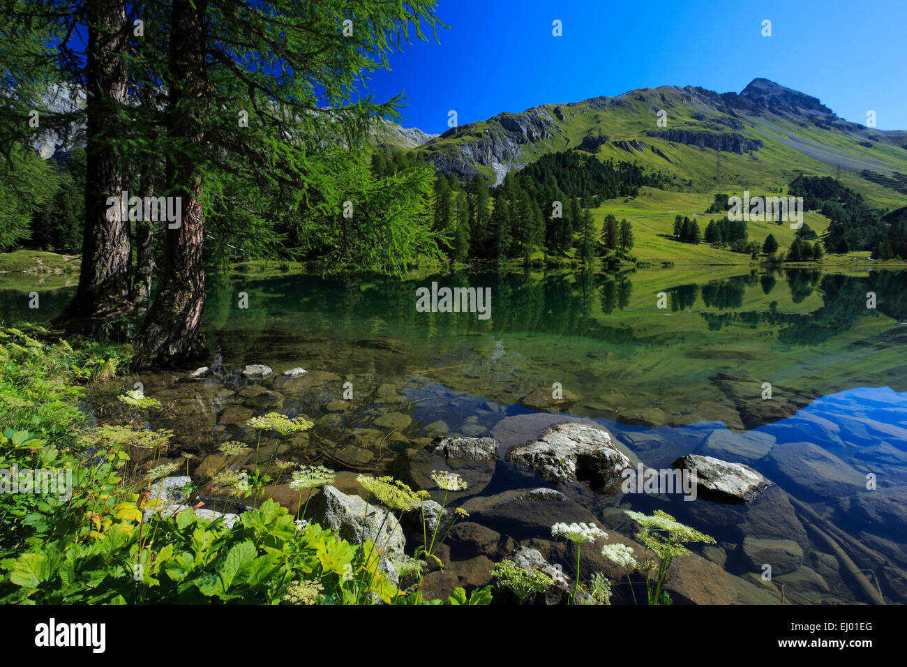 Albula, Albula Pass, Albulapass, Alps, mountain, mountains, mountain ...