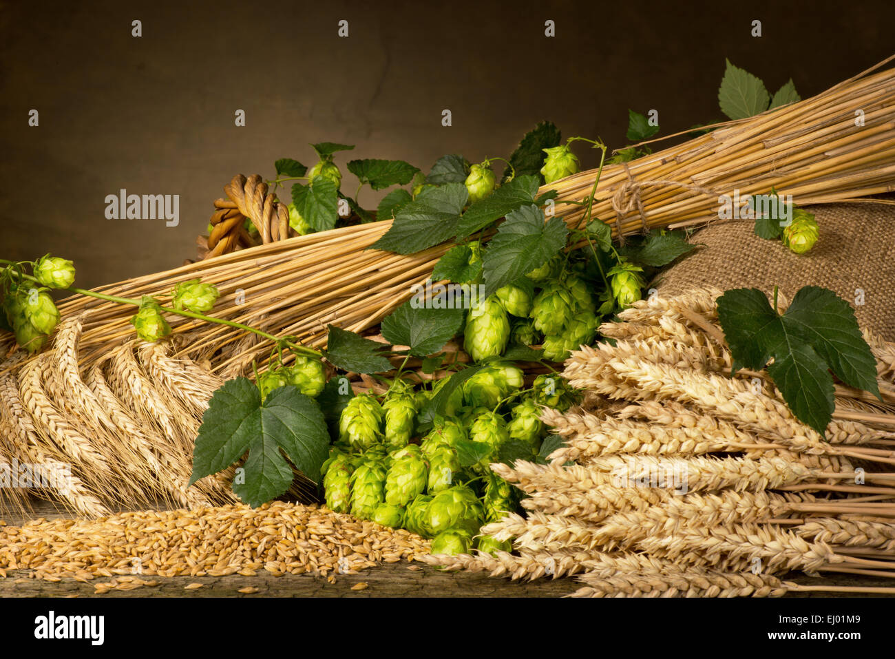 raw material for beer production in the basket Stock Photo - Alamy