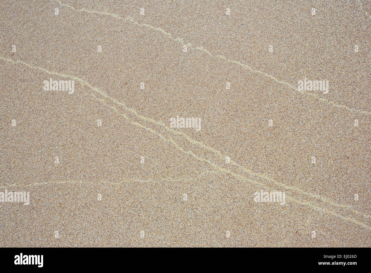 Detail, ebb, tide, form, shape, forms, shapes, water, Great Britain ...