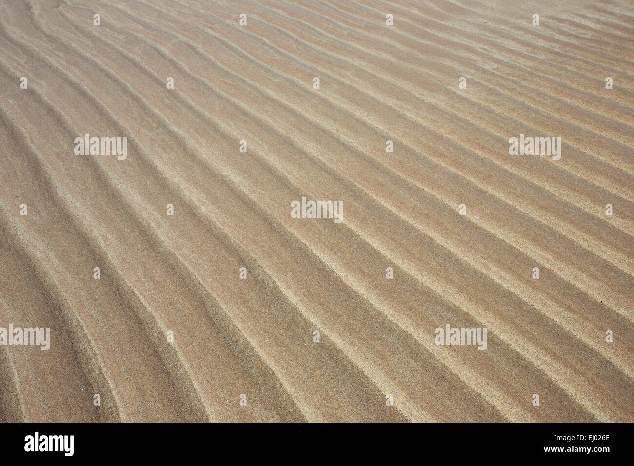 Detail, ebb, tide, form, shape, forms, shapes, water, Great Britain ...
