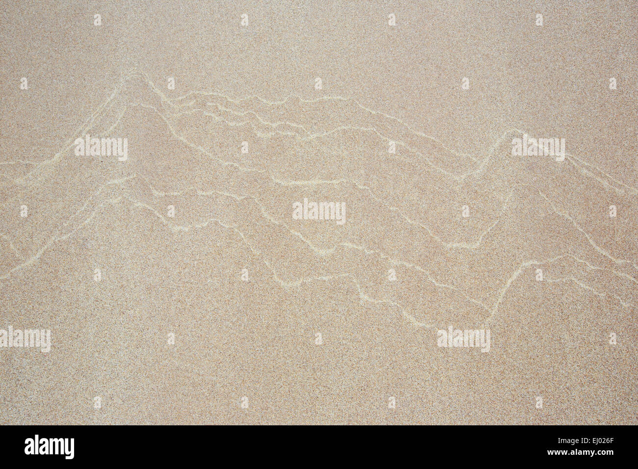 Detail, ebb, tide, form, shape, forms, shapes, water, Great Britain ...