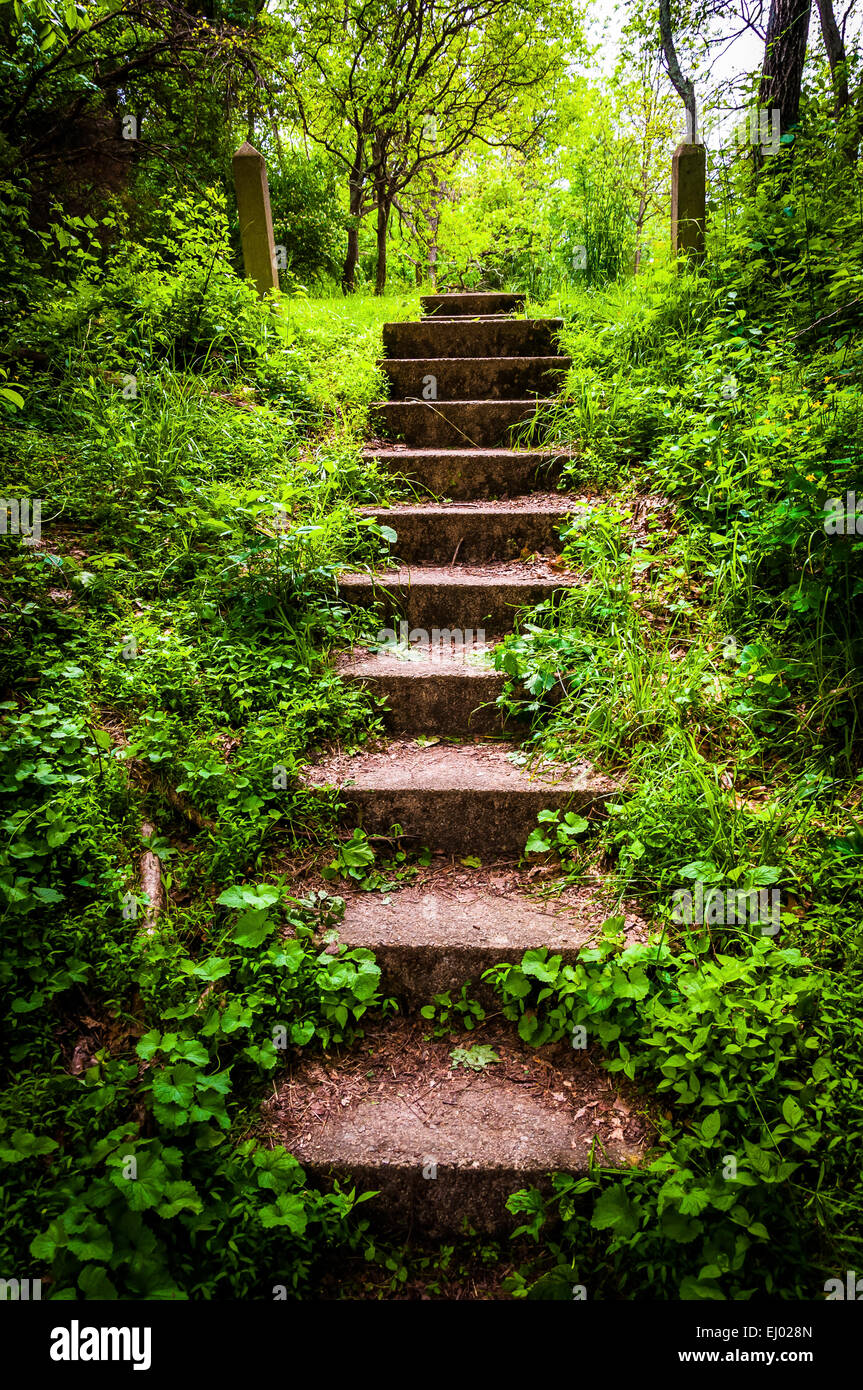 Scary dark stone steps hi-res stock photography and images - Alamy