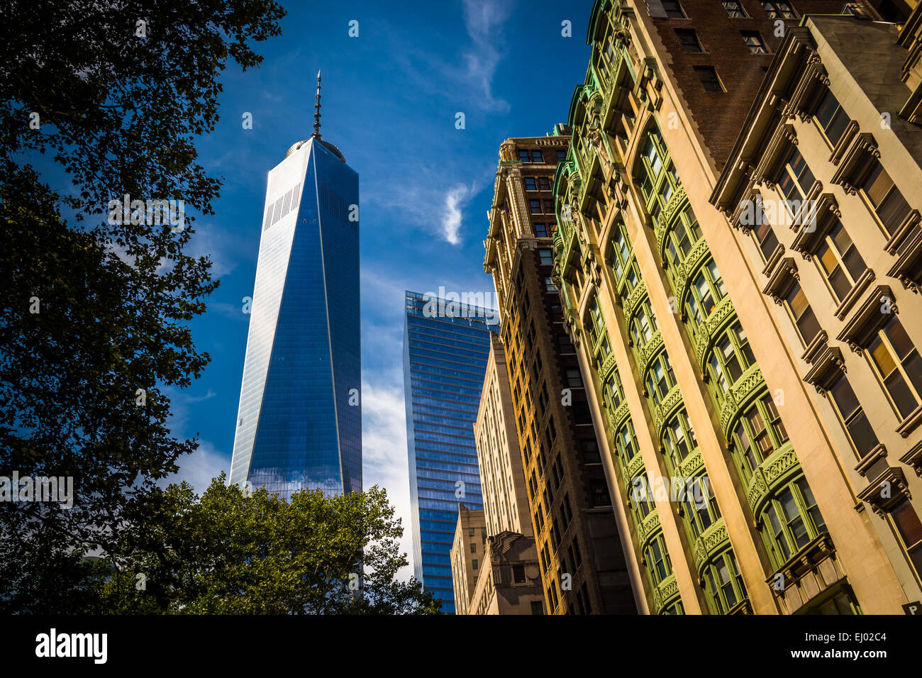 One World Trade Center and other buildings in Lower Manhattan, New York ...