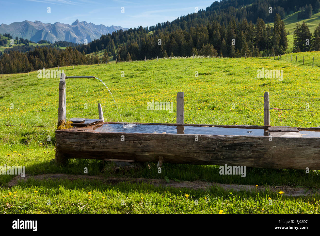 Col des Mosses, Switzerland, Europe, canton, Vaud, Pays d'Enhaut, well ...