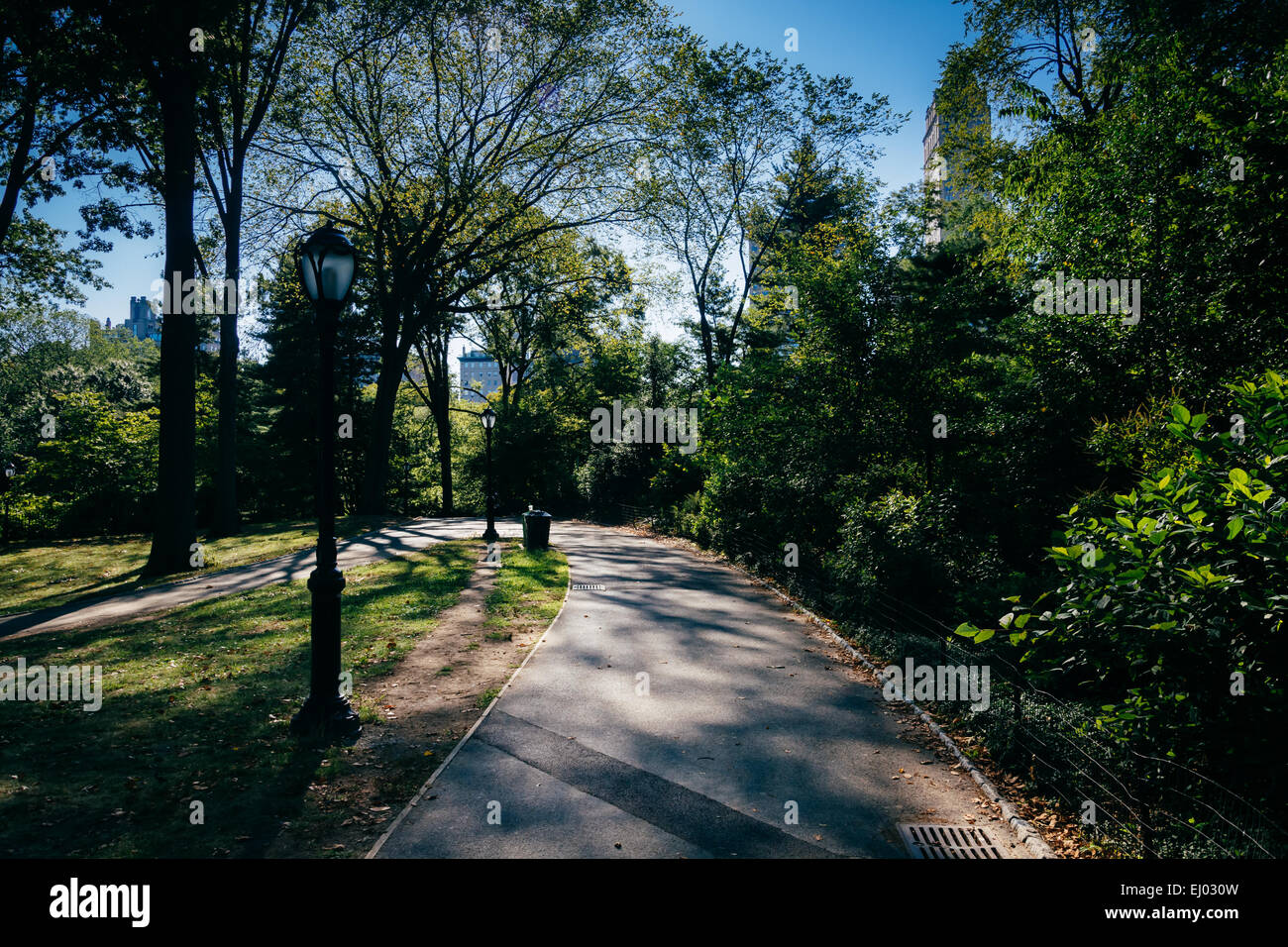 Path in Central Park, Manhattan, New York Stock Photo - Alamy