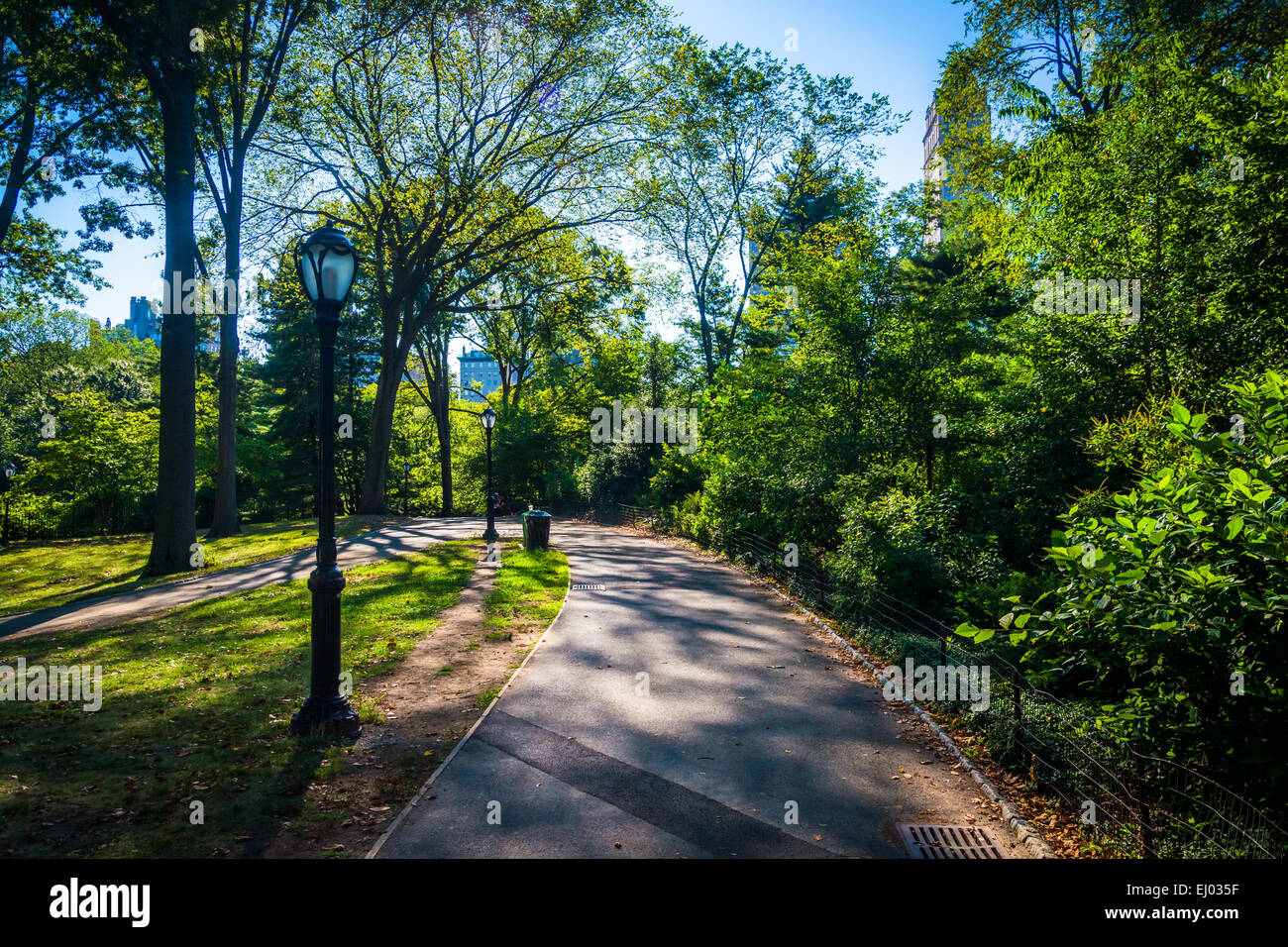 Path in central park hi-res stock photography and images - Alamy
