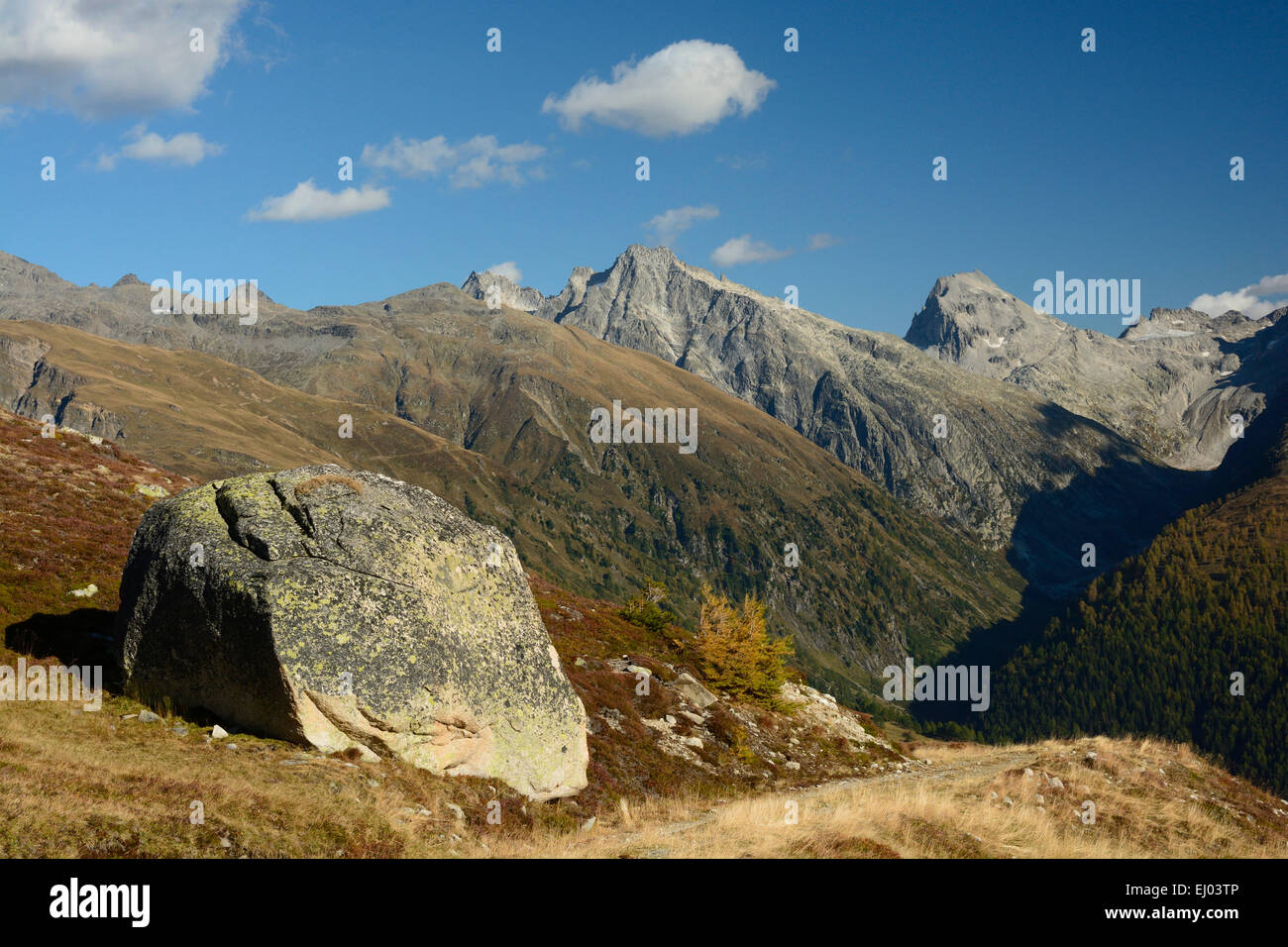 Oberwald hi-res stock photography and images - Alamy
