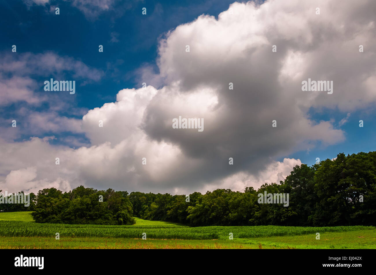 Puffy summer clouds over farm fields on a hill in Southern York County ...