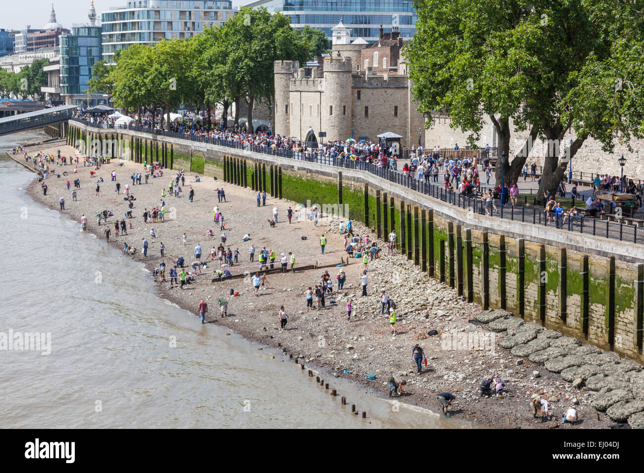 England, London, River Thames Archaeological Dig at Low Tide Stock ...