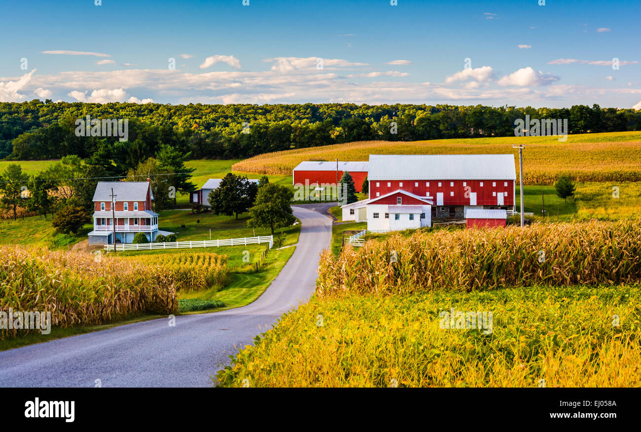 Corn field and house road hi-res stock photography and images - Alamy