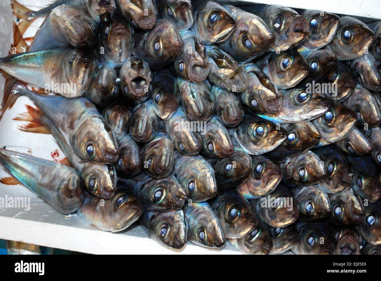 Agriculture de sol hi-res stock photography and images - Alamy