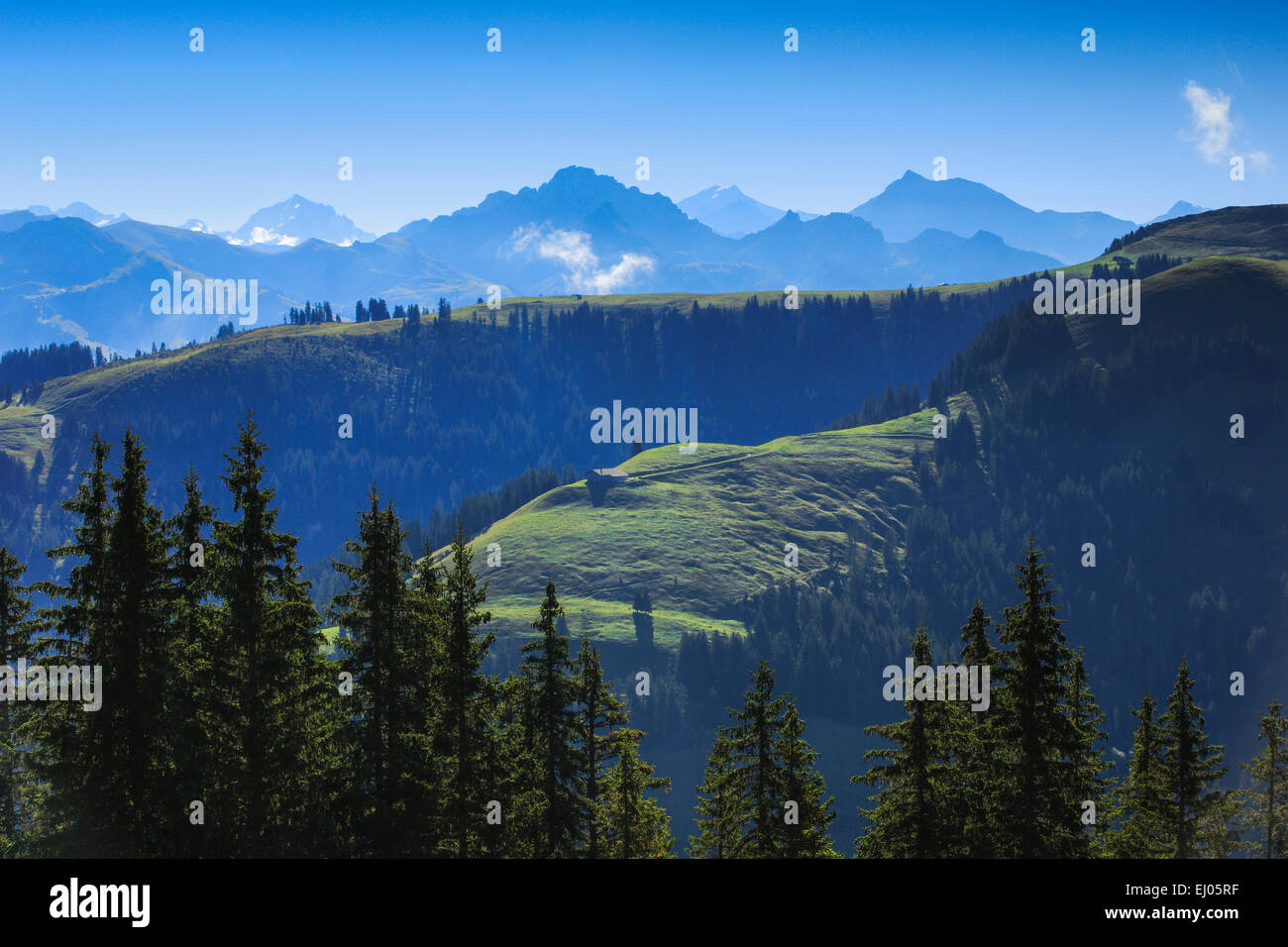 Alps, View, Jaun pass, mountain, mountain panorama, mountains, mountain ...