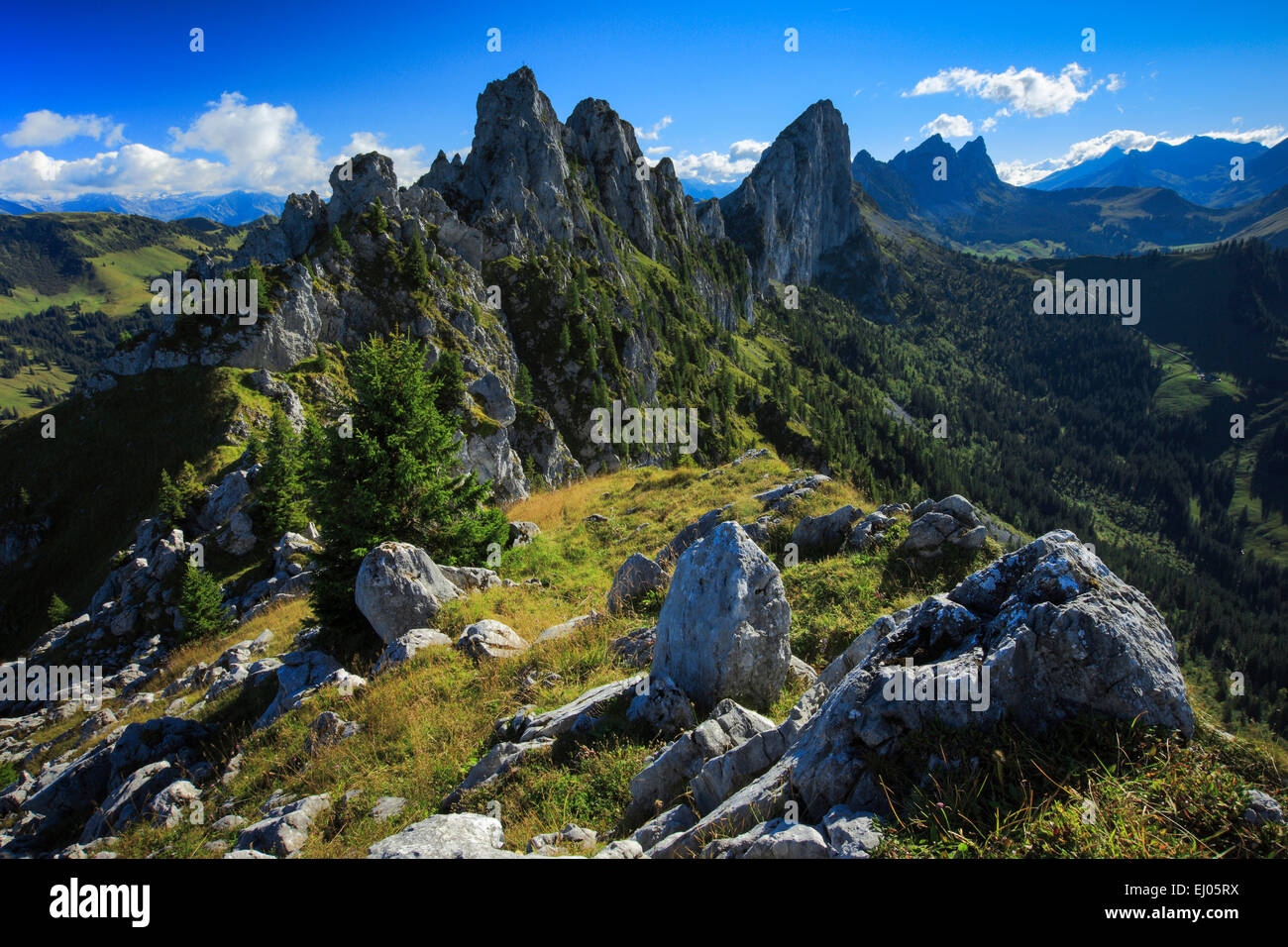 Evening, Alps, view, mountain, mountain panorama, mountains, mountain ...