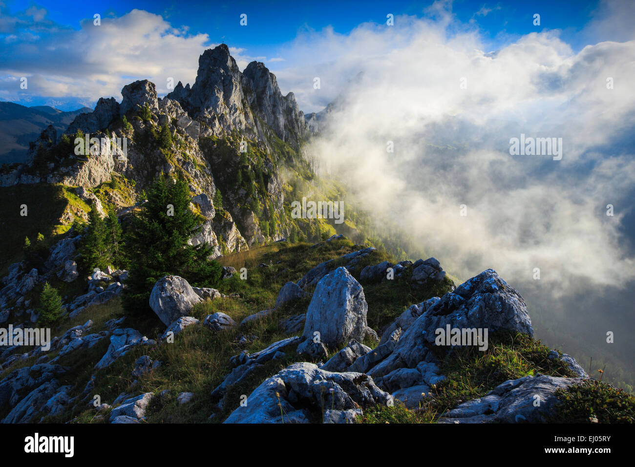 Evening, Alps, view, mountain, mountain panorama, mountains, mountain ...