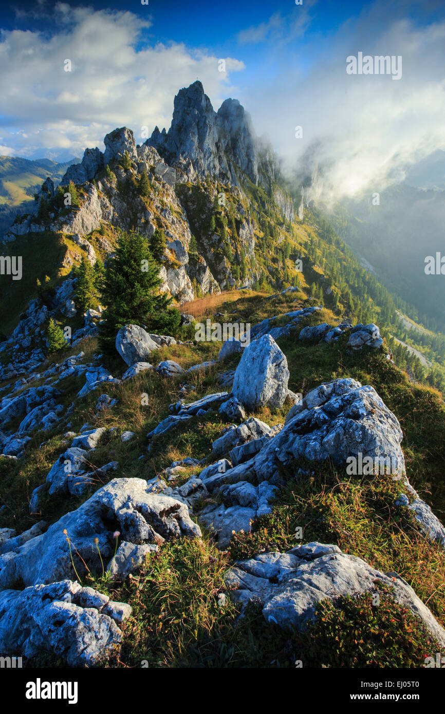 Evening, Alps, view, mountain, mountain panorama, mountains, mountain ...