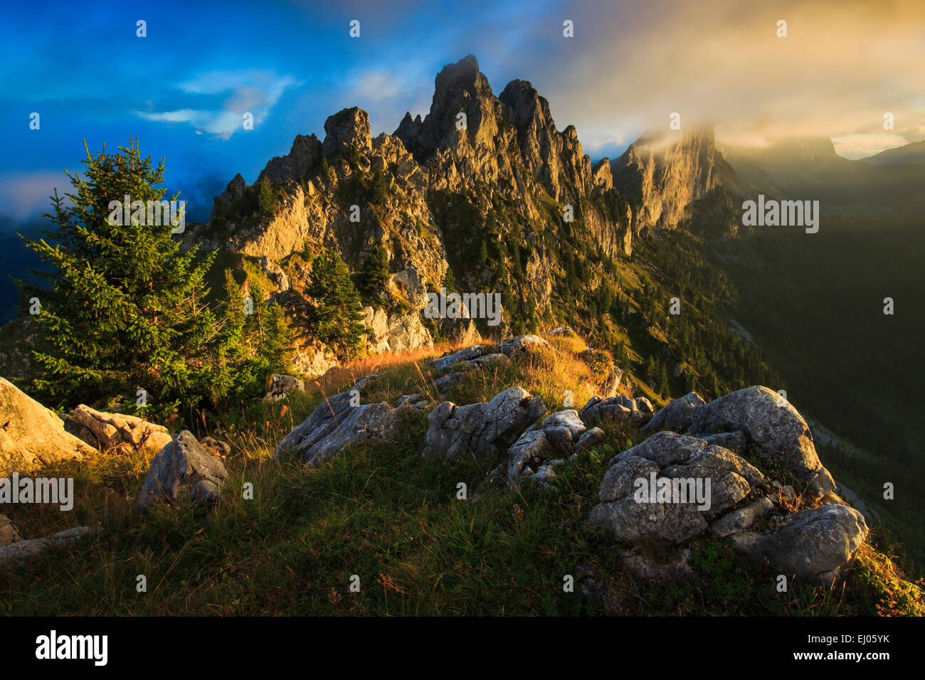 Evening, Alps, view, mountain, mountain panorama, mountains, mountain ...