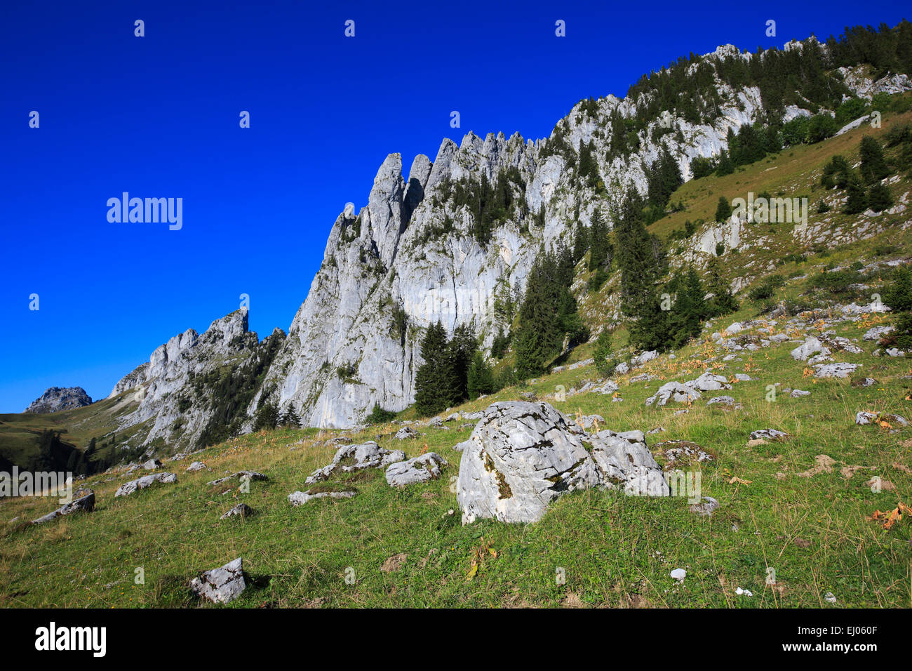 Jaun freiburg hi-res stock photography and images - Alamy
