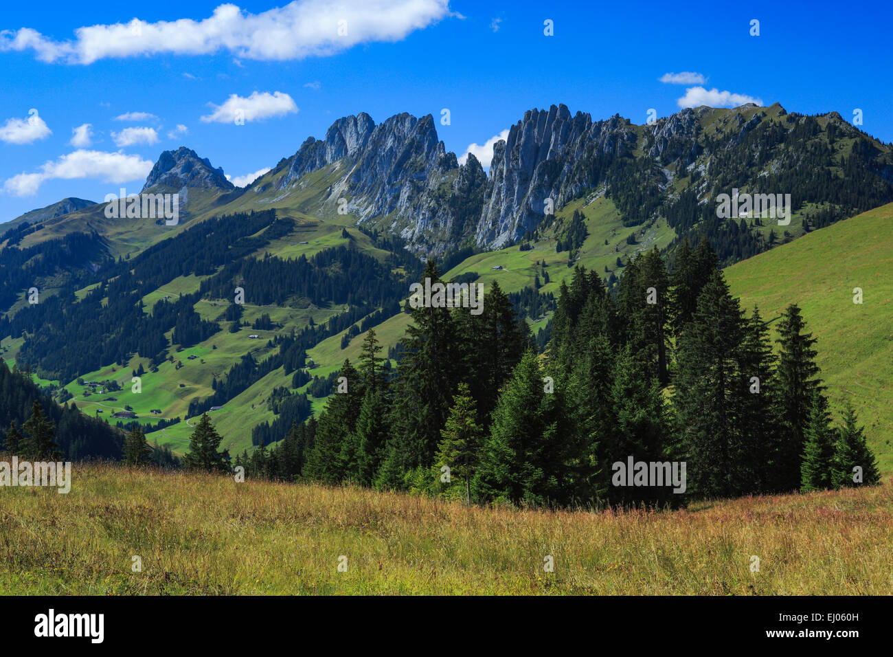 Alps, View, Jaun pass, mountain, mountain panorama, mountains, mountain ...