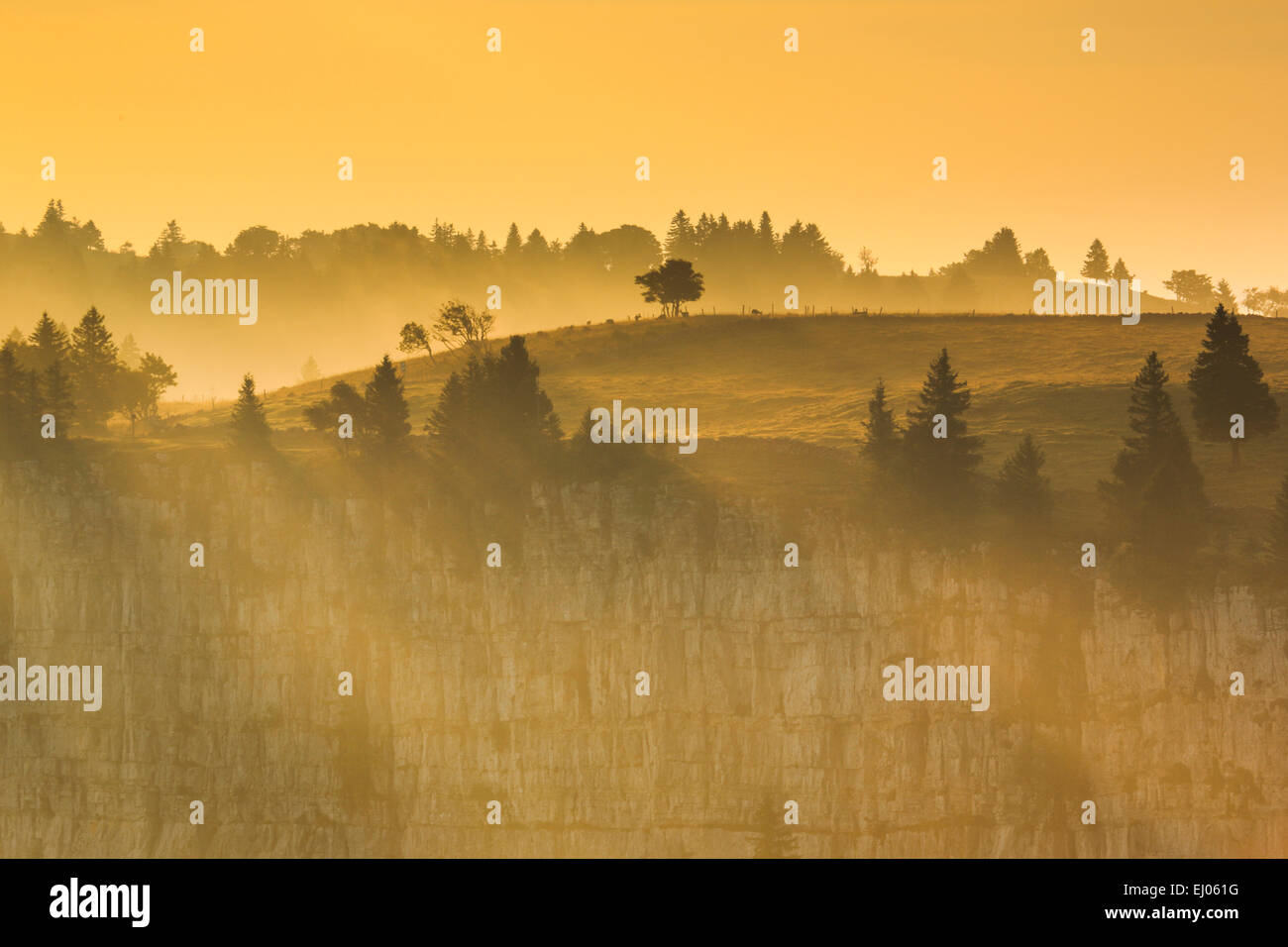 Alps, rocky cirque, cirque, view, mountains, mountain massif, trees ...