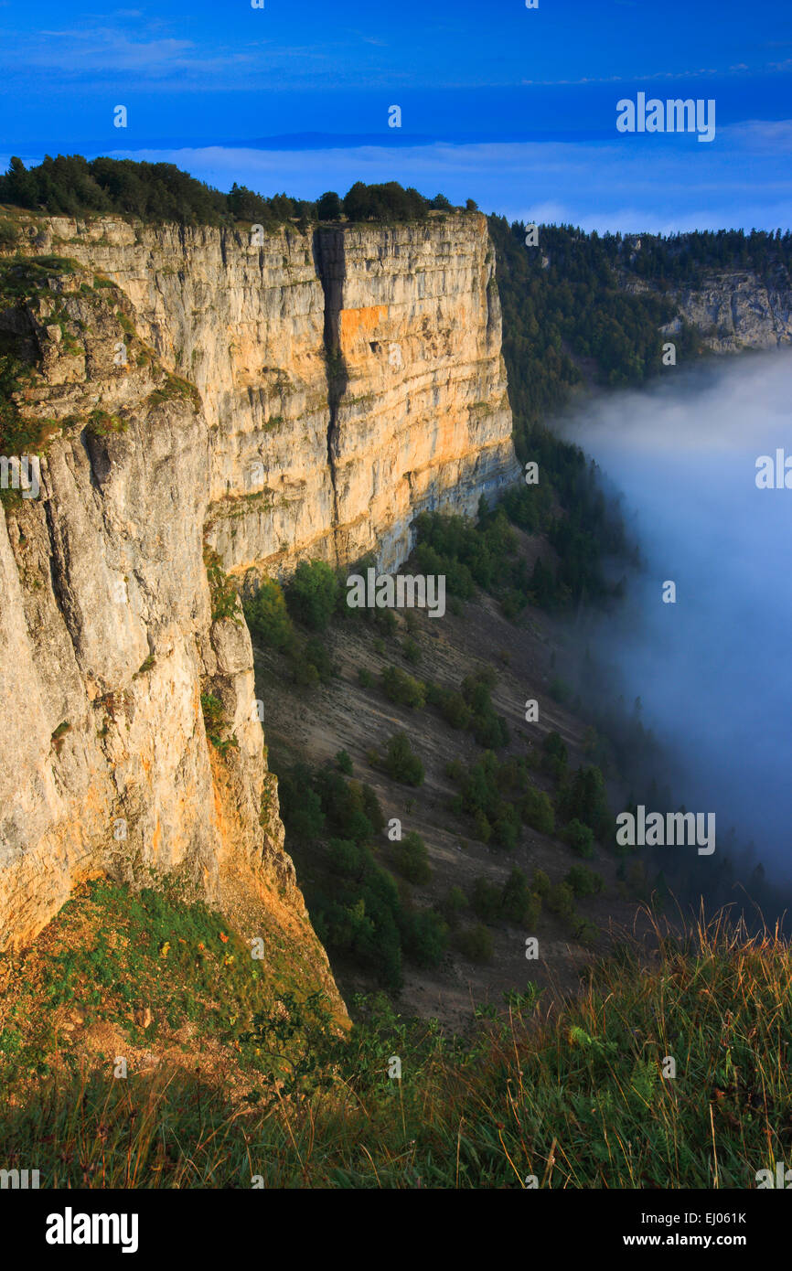 Alps, rocky cirque, cirque, view, mountains, mountain massif, trees ...