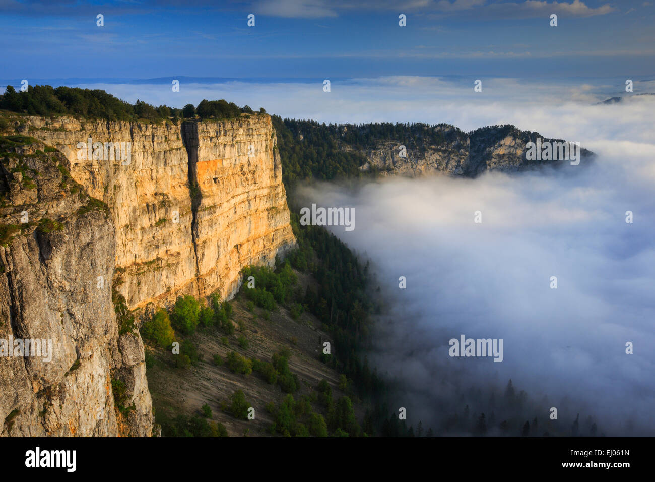 Alps, rocky cirque, cirque, view, mountains, mountain massif, trees ...