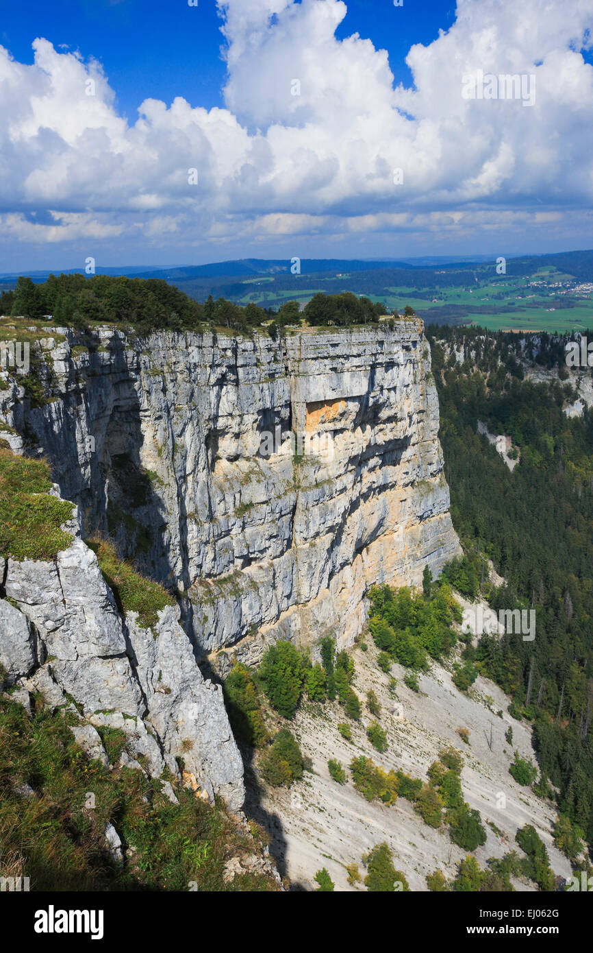 Alps, rocky cirque, cirque, view, mountains, mountain massif, trees ...