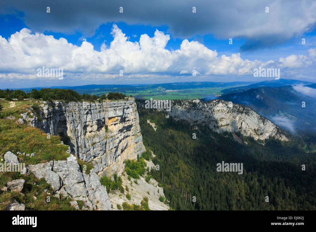Alps, rocky cirque, cirque, view, mountains, mountain massif, trees ...