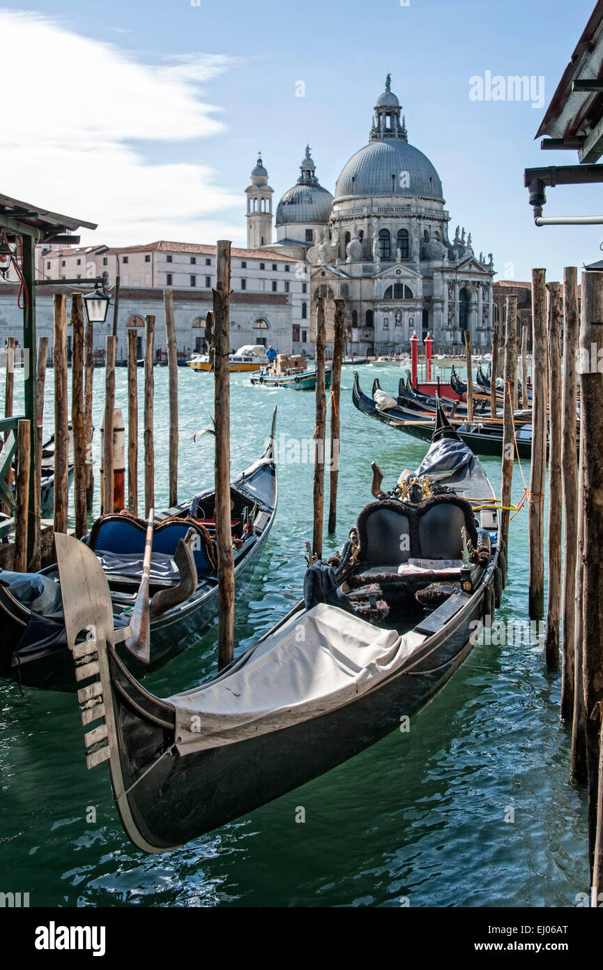 Basilica Di Santa Maria Della Salute On The Grand Canal With Gondolas