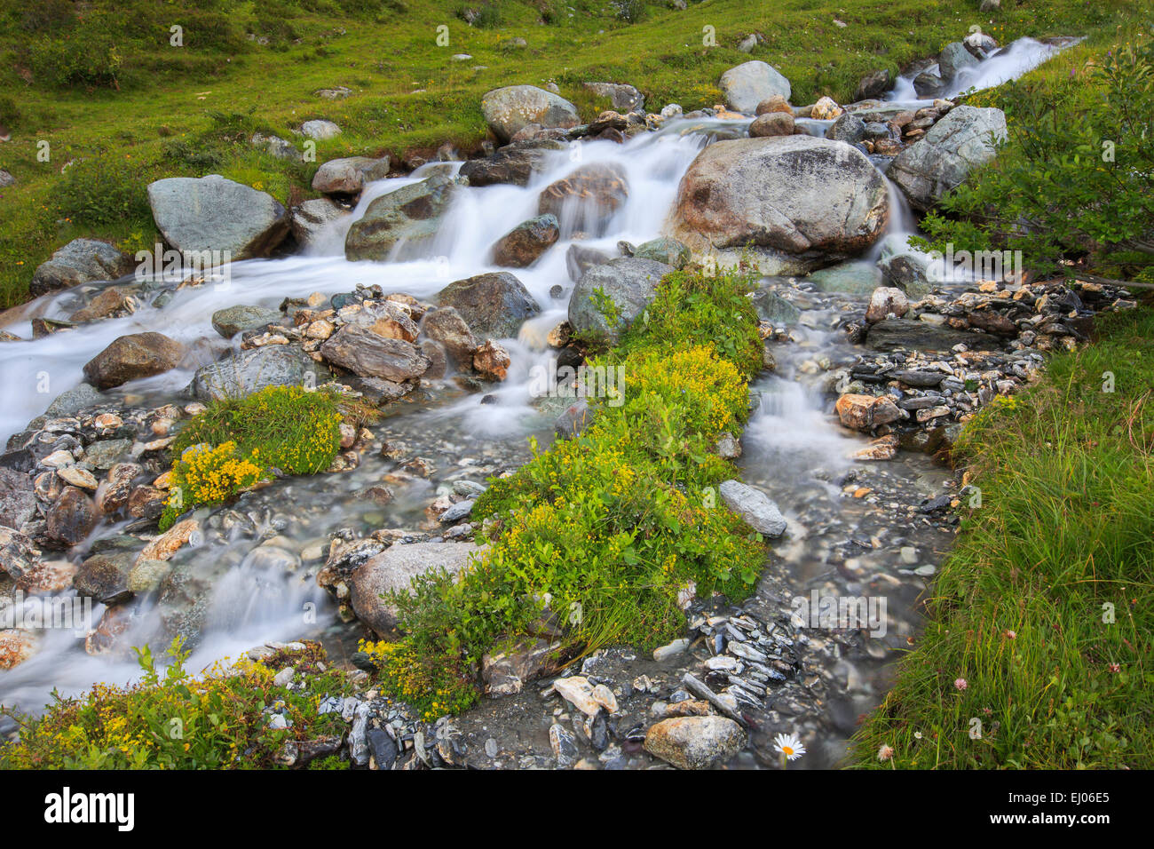 Creek, brook, stream course, movement, river, flow, riverbed ...