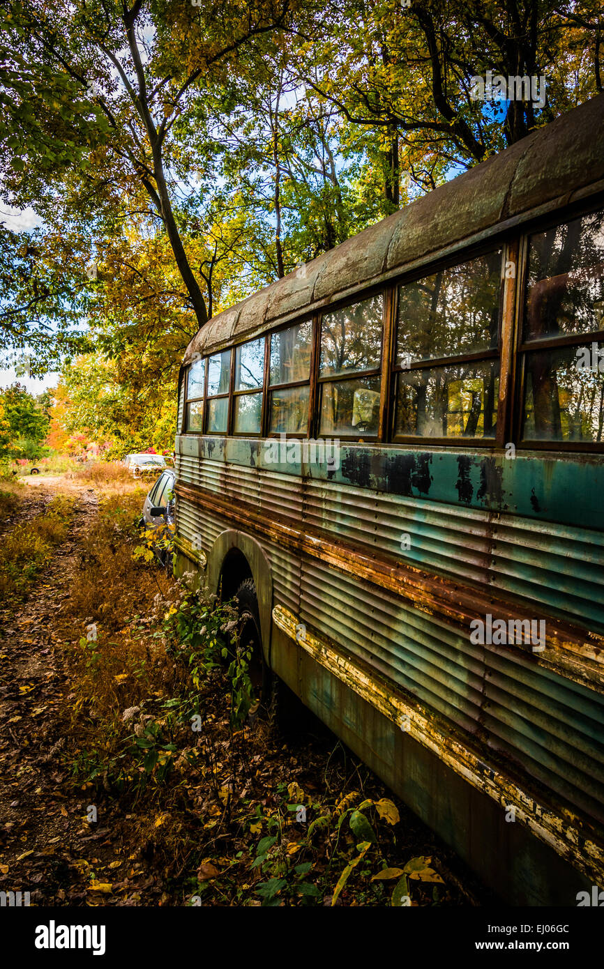 Old School Buses Junkyard