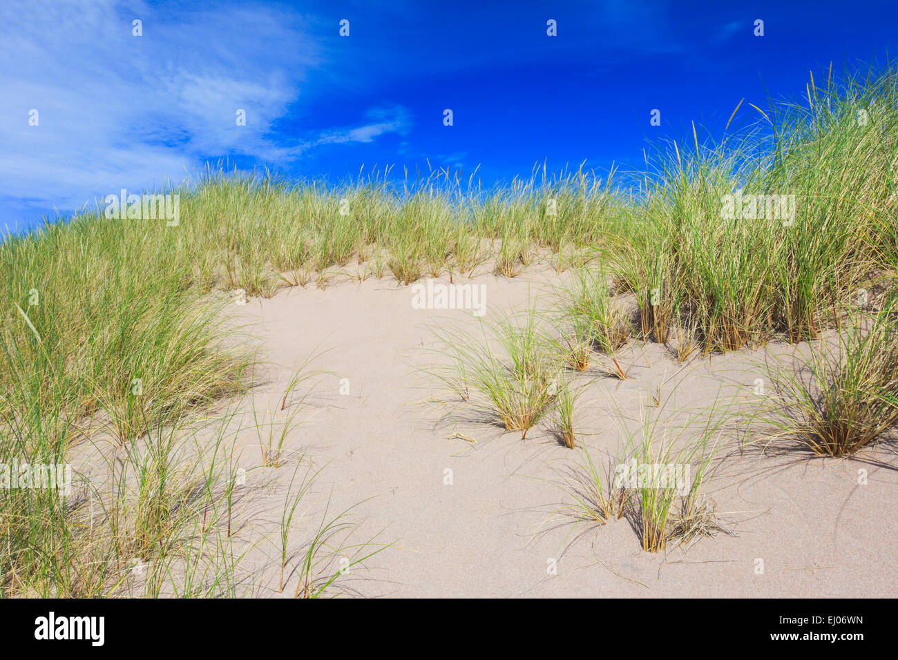 Dune grass, water, Great Britain, Highland, highlands, sky, highland ...