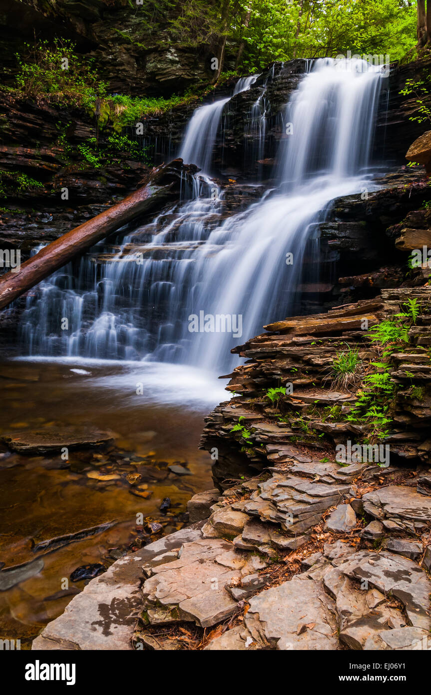 Pennsylvania shawnee state park hi-res stock photography and images - Alamy