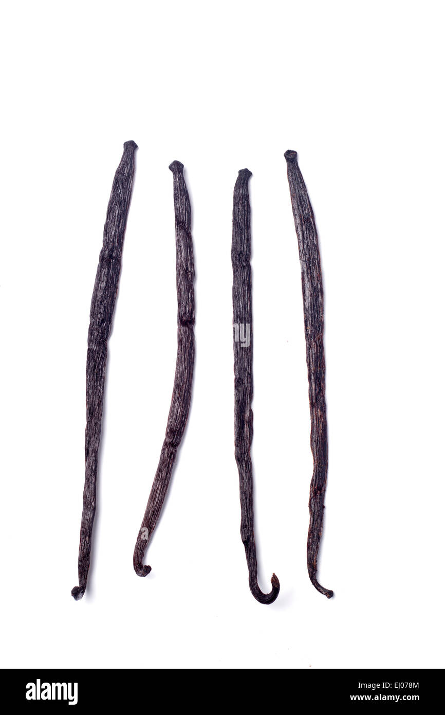 Close view of vanilla pods over a white background Stock Photo - Alamy
