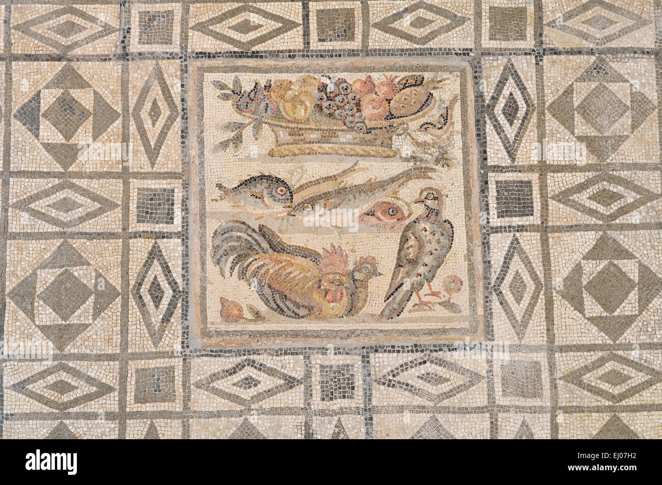 Floor Mosaic Museo Nazionale Romano Palazzo Massimo alle Terme Rome ...