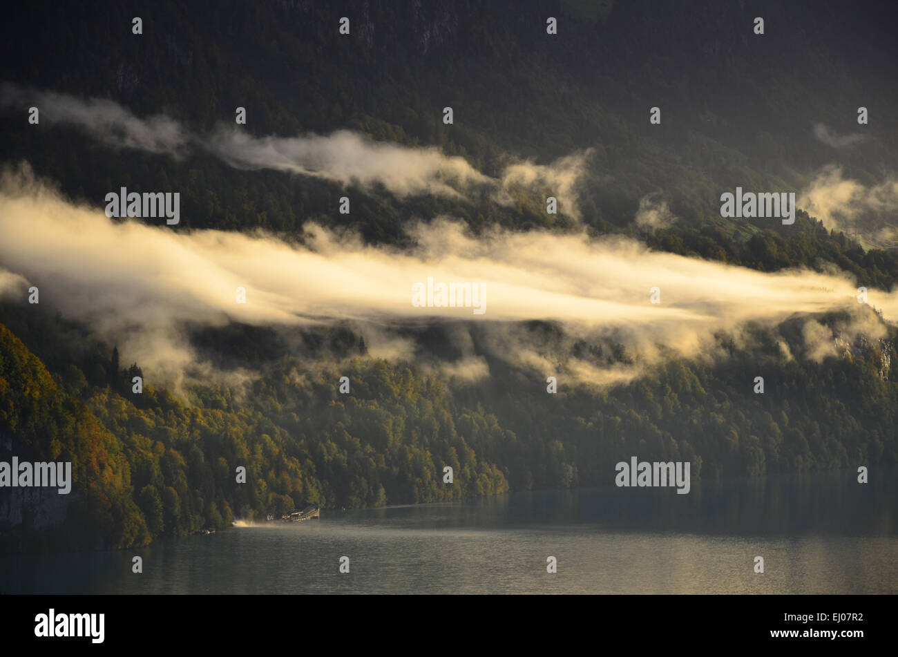 Switzerland, Europe, canton Bern, Bernese Oberland, lake Brienz, beam ...