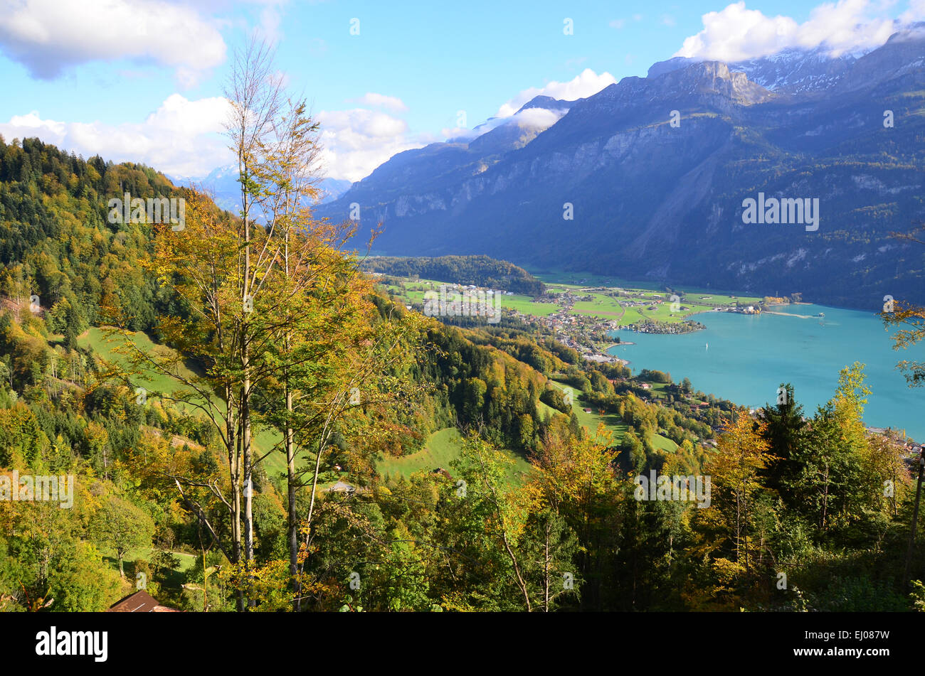 Brienz switzerland wood hi-res stock photography and images - Alamy