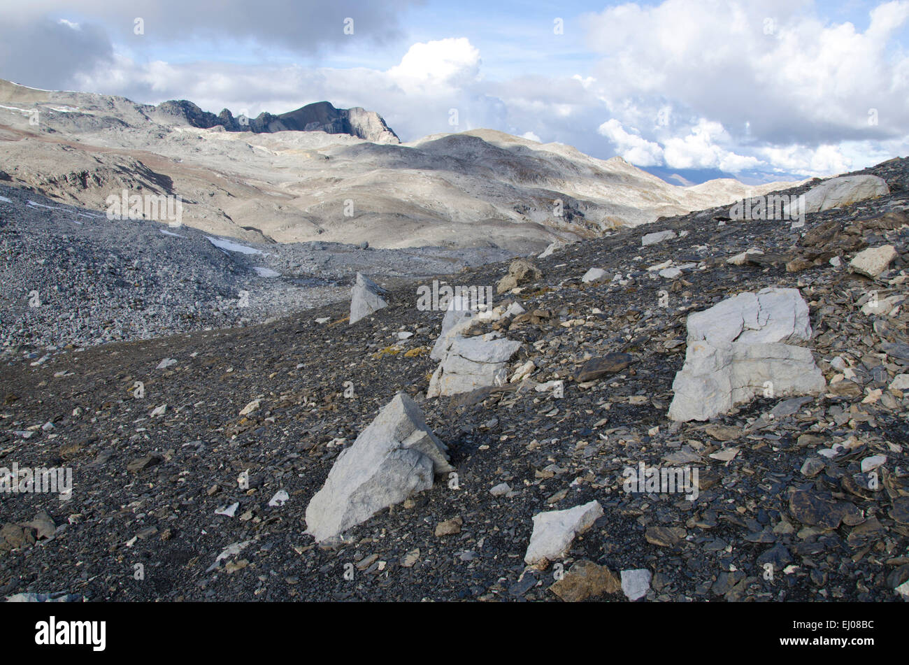 Lower rims hi-res stock photography and images - Alamy