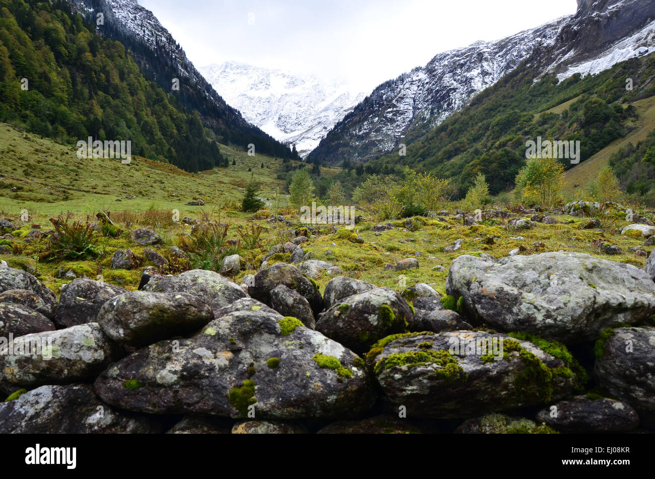 Haslital valley hi-res stock photography and images - Alamy