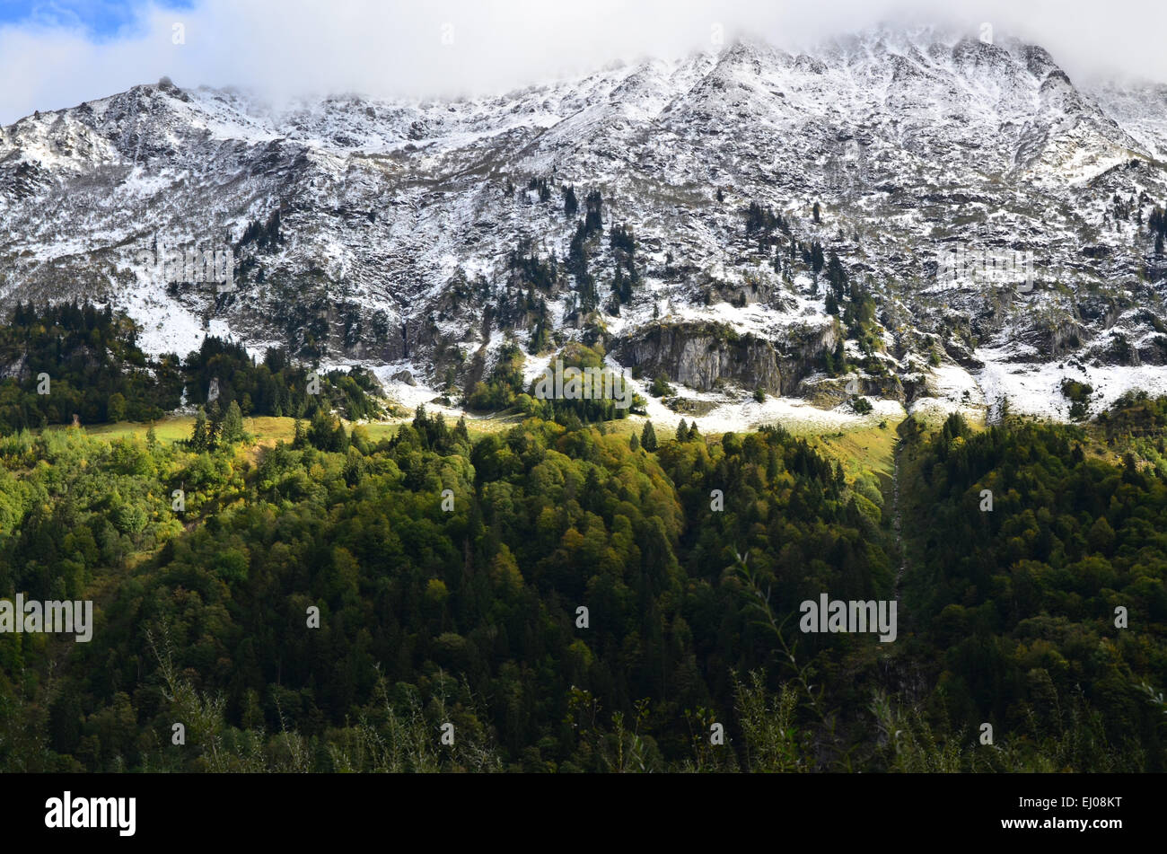 Haslital valley hi-res stock photography and images - Alamy