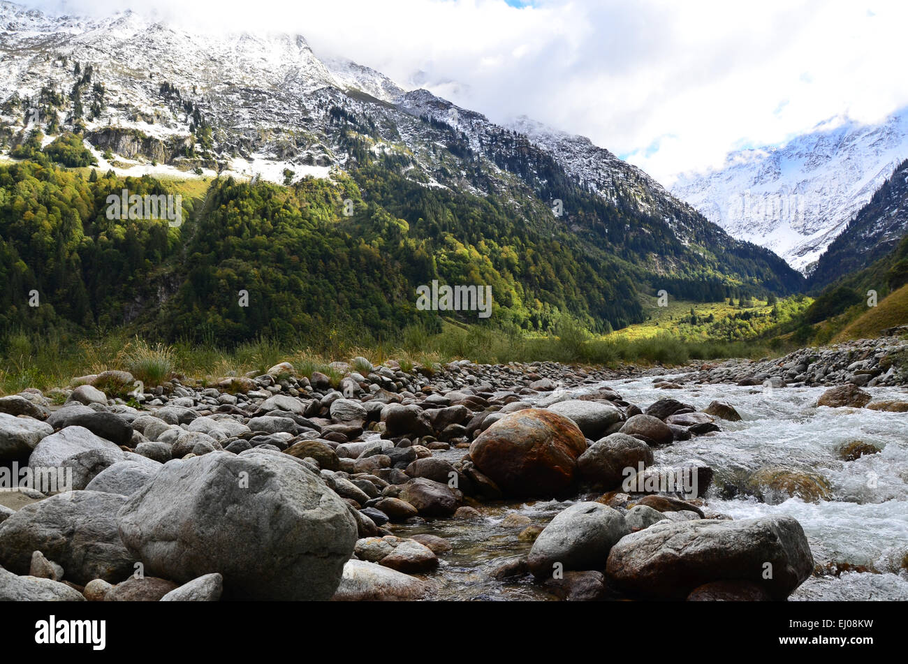 Switzerland, Europe, canton Bern, Bernese Oberland, Haslital ...