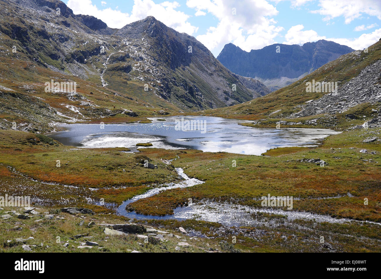 Switzerland, Europe, Graubünden, Grisons, valley of Calanca, Val ...