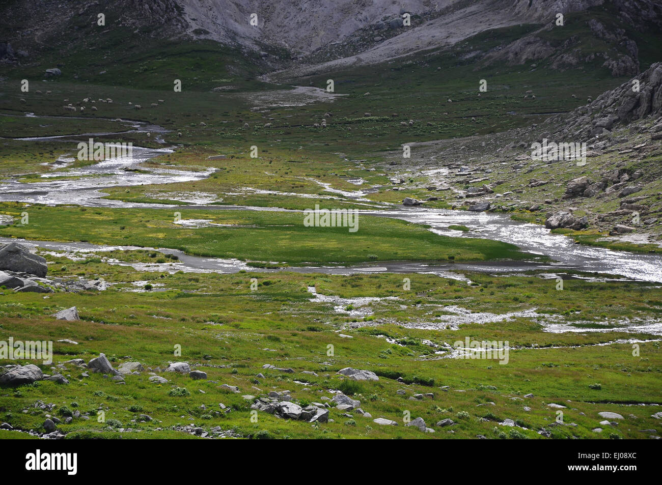 Greina plateau hi-res stock photography and images - Alamy