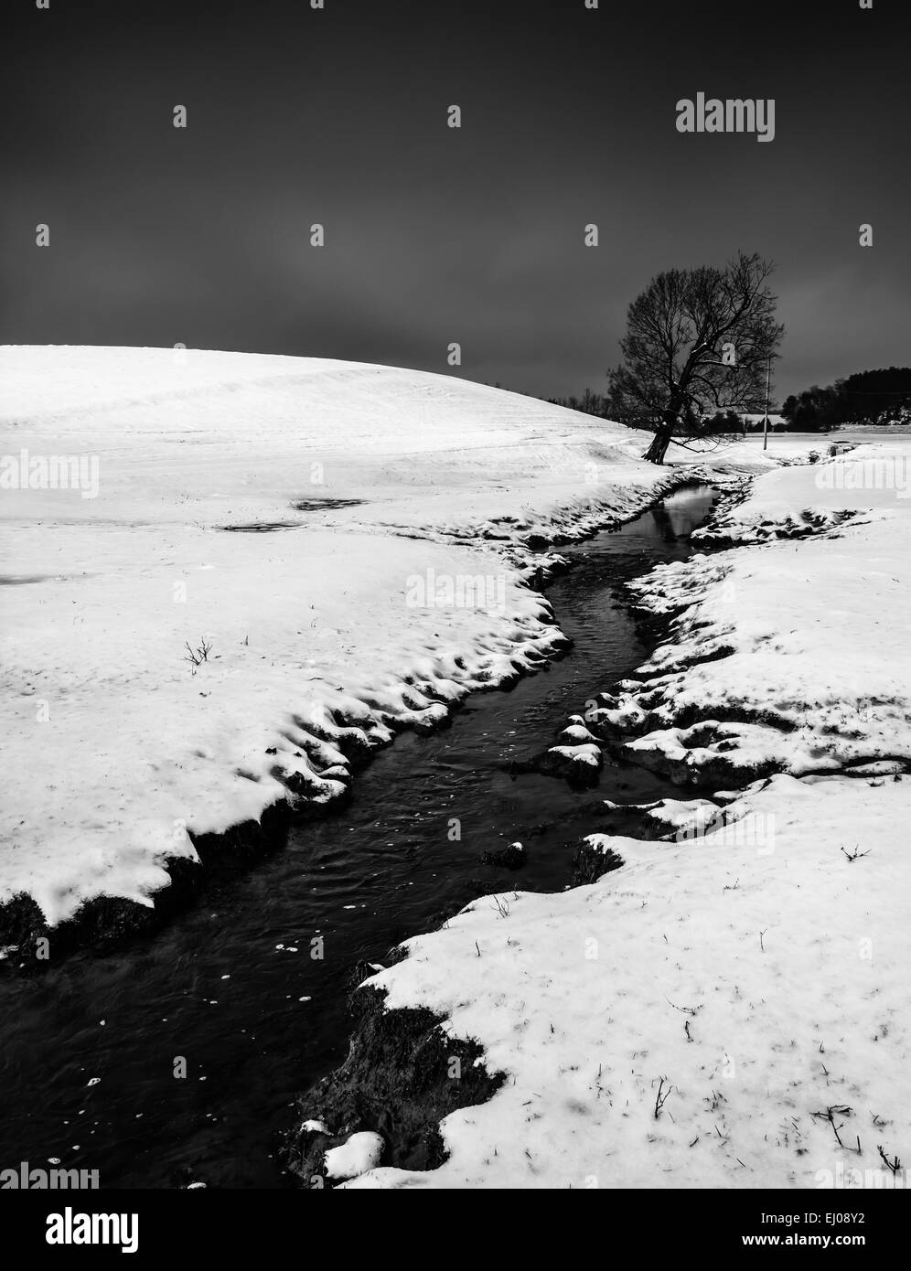 Spring spring scenery Black and White Stock Photos & Images - Alamy