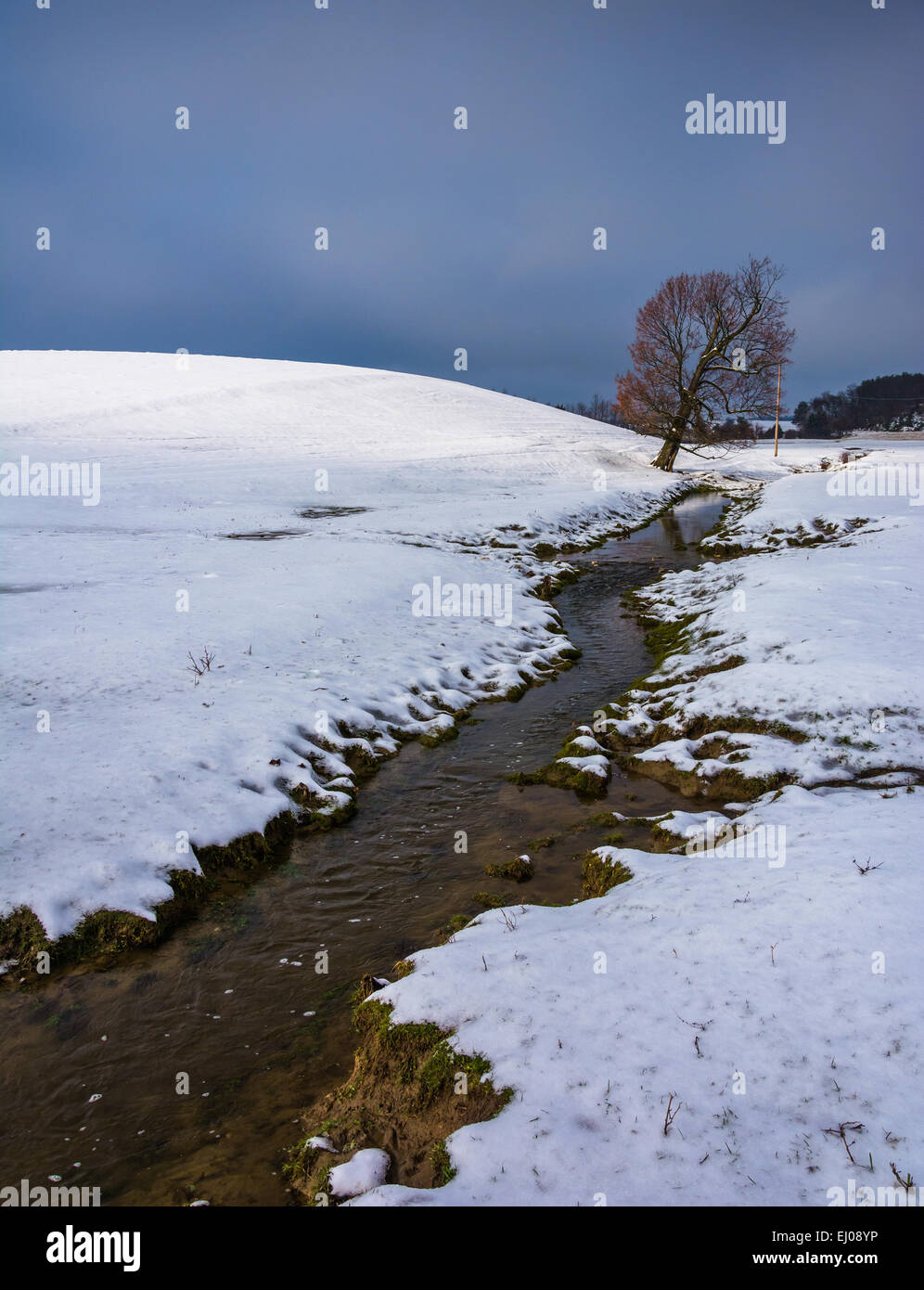 Small stream and tree in a snow covered farm field near Spring Grove ...