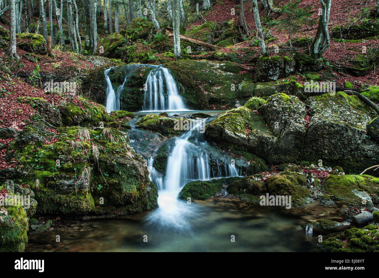 Wängibach, Waterfall, Water, Switzerland, Nature, Mountain, Stream ...