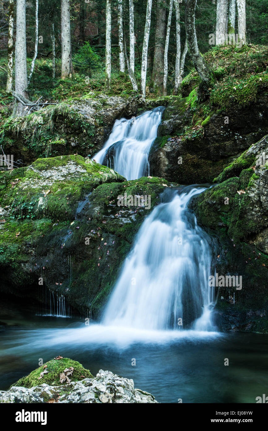 Wängibach, Waterfall, Water, Switzerland, Nature, Mountain, Stream ...